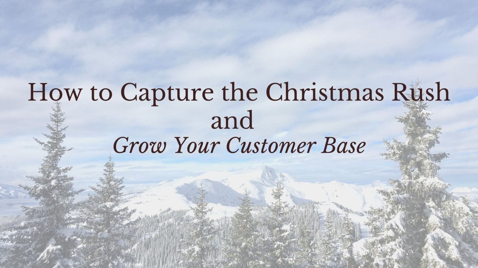 How to Capture The Christmas Rush and Grow Your Customer Base | AMZ Blog